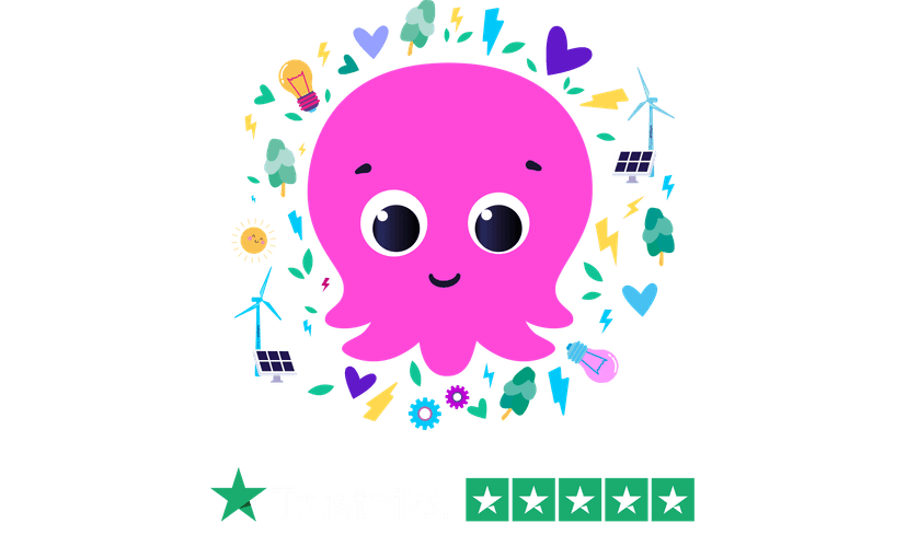 Experts in solar panel installations for your home | Octopus Energy